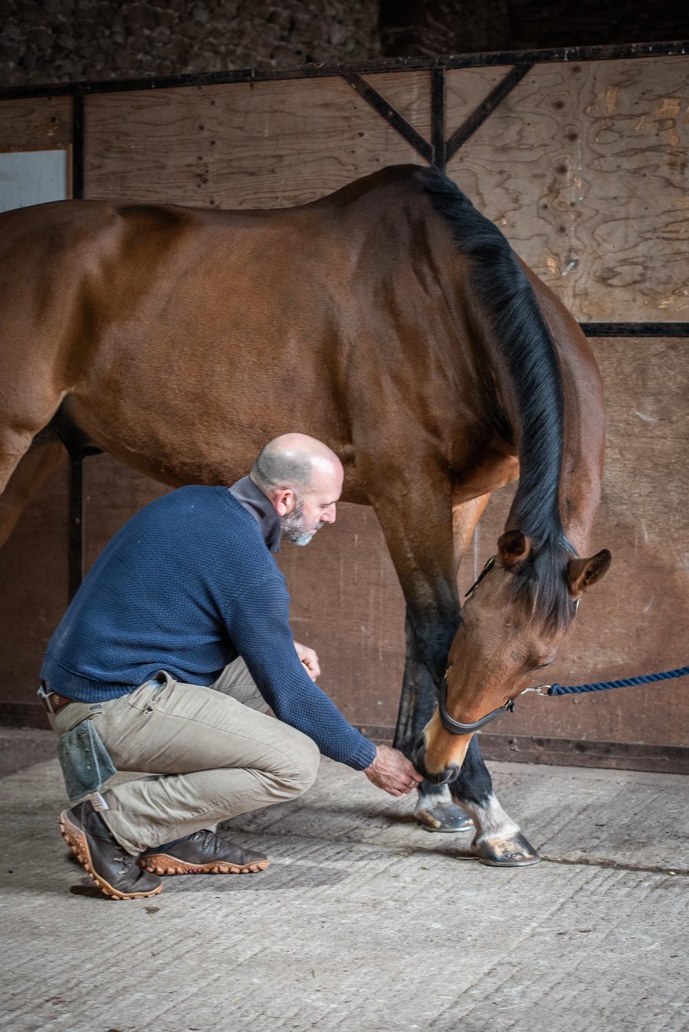 About Us | Three Counties Veterinary Chiropractic